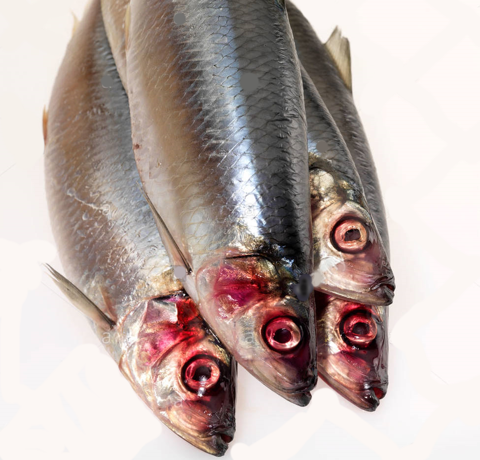 natural-bait – Rocknus Online Store